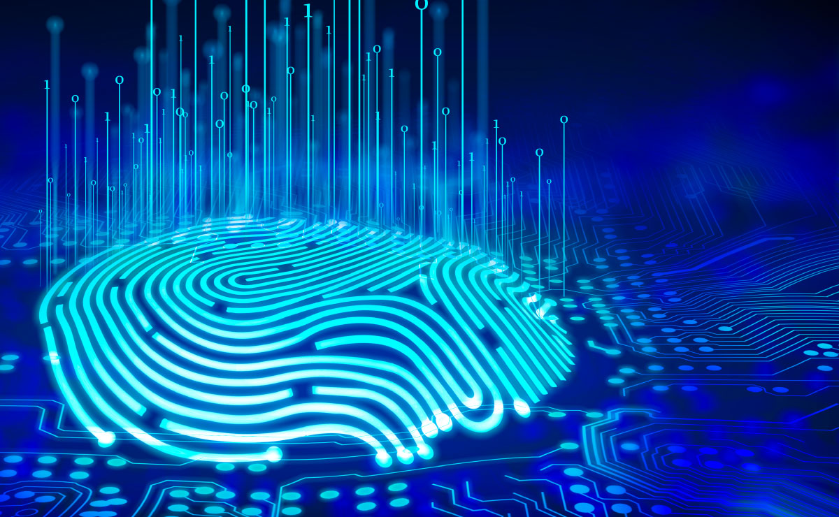 Software Asset Management Services (SAM) | IT Assets | CDW UK